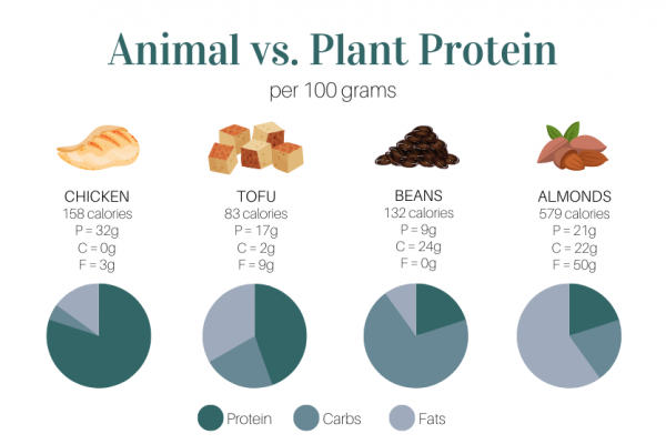 Plant Protein Vs Animal Protein What S The Difference Kay Nutrition