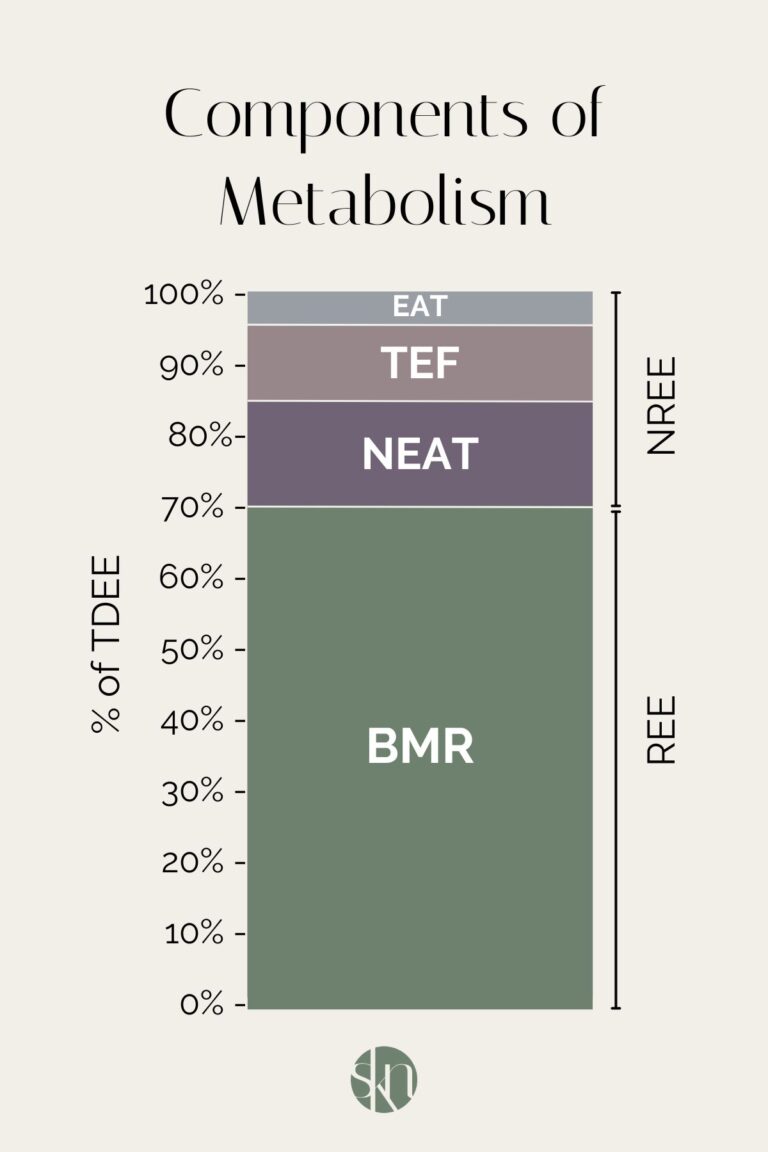 Metabolism 101: How Do You Burn Calories? - Stephanie Kay Nutrition
