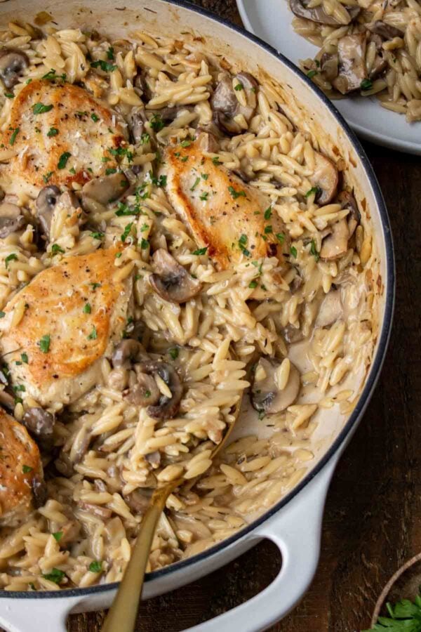 Chicken Mushroom Orzo - Stephanie Kay Nutrition