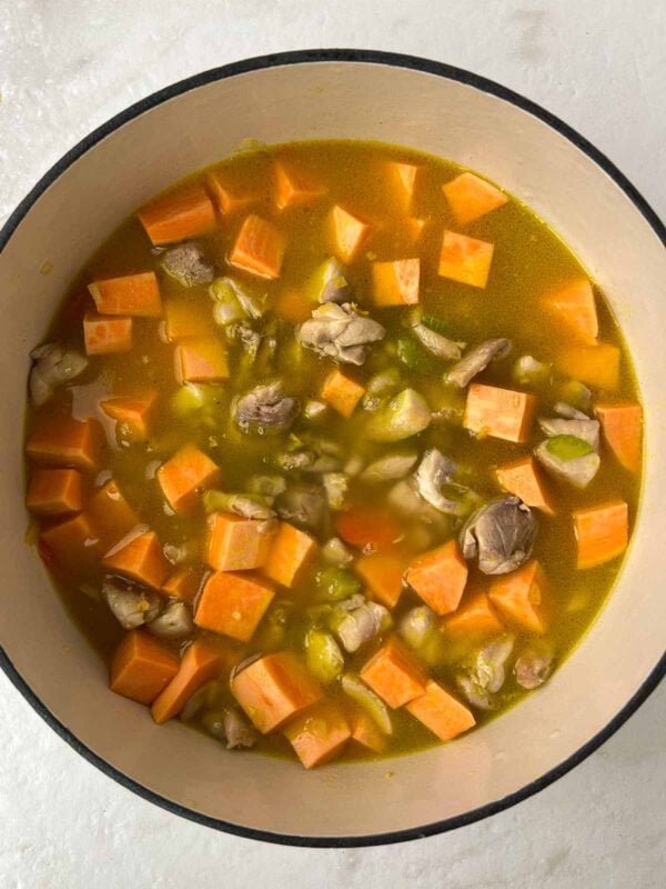 Turmeric Chicken Stew - Stephanie Kay Nutrition