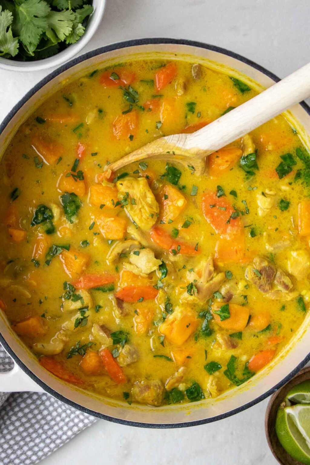Turmeric Chicken Stew - Stephanie Kay Nutrition
