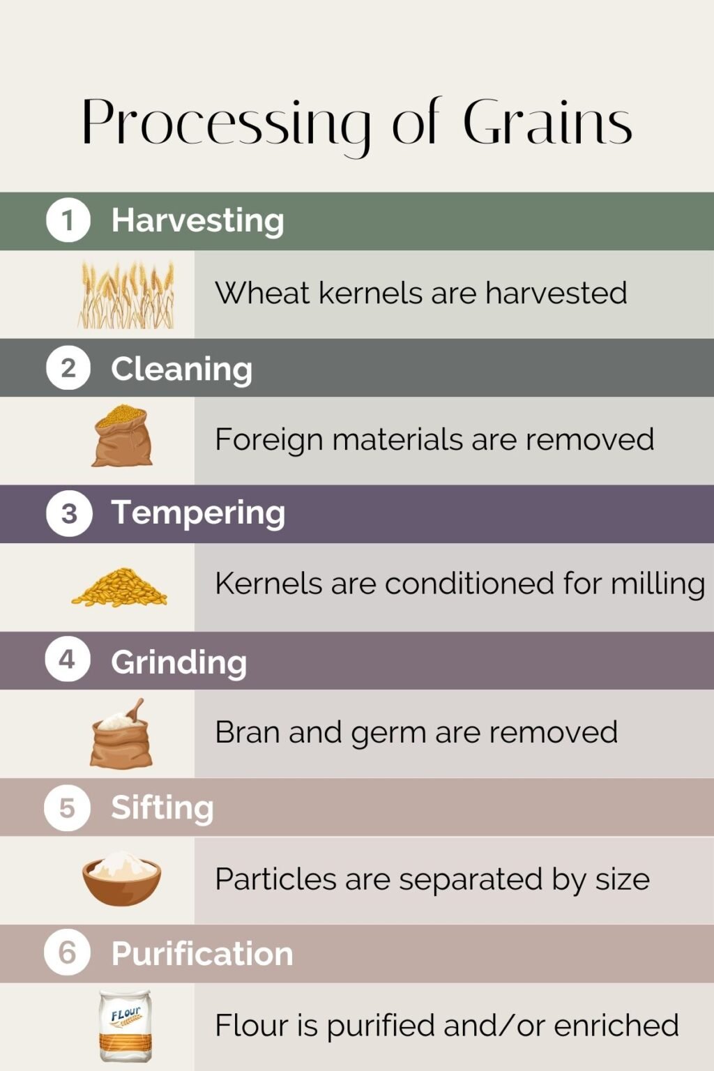 Whole Grains vs. Refined Grains: Which is Healthier? - Stephanie Kay ...