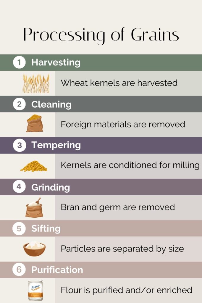 Whole Grains vs. Refined Grains: Which is Healthier? - Stephanie Kay ...